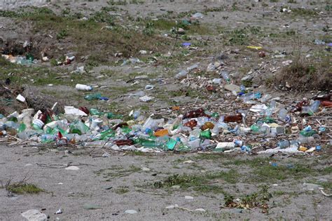 დანაგვიანებული სანაპირო ქობულეთში [ფოტო] Netgazeti • გარემოს დაცვა • ქობულეთი • Netgazeti Ge