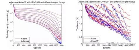 一文告诉你adam、adamw、amsgrad区别和联系 重点