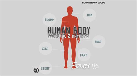 مجموعه افکت صوتی بدن انسان Human Body Sound Effects مغزابزار