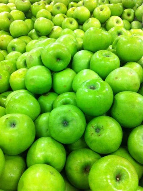 초록사과 네이버 블로그