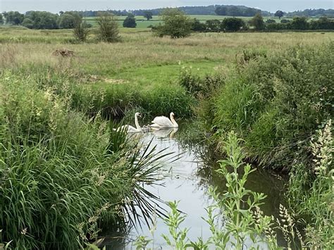 Nutrient Neutrality Are There Better Solutions