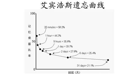 艾宾浩斯遗忘曲线 复习
