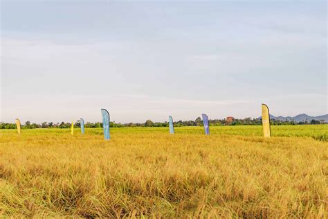 តោះ ទៅលេង ពិធីបុណ្យរដូវរំហើយ នៅទីរួមខេត្តកំពង់ឆ្នាំងទាំងអស់គ្នា Knongsrok