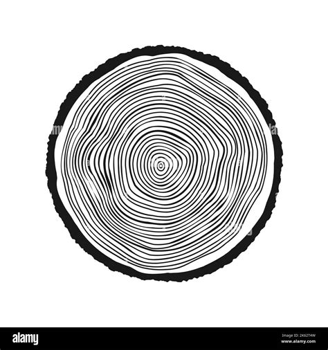 Round Tree Trunk Cut Sawn Pine Or Oak Slice Saw Cut Timber Wood Wooden Texture With Tree