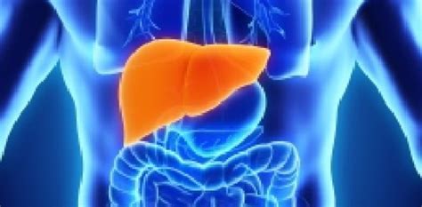 Hepatitis A B Y C En Qué Se Diferencian Cómo Se Contagian Se