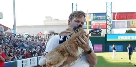 Rabbit Throws Out Ceremonial First Pitch At A Reno Aces Game