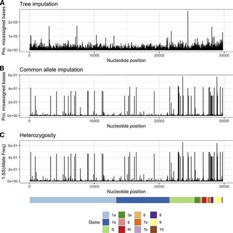Proportion Of Misassigned Bases For Two Imputation Methods And