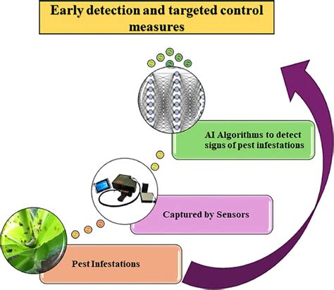 Ai Breakthrough In Pest Detection Promises Sustainable Farming