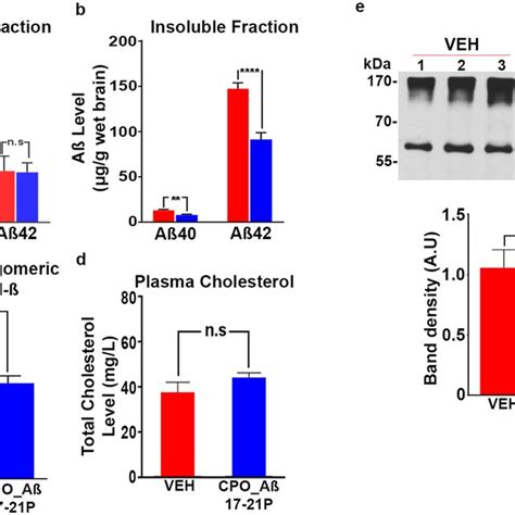 Amyloid β Plaque Burden On Brains Of App Ps1 Mice Treated With Peptoid Download Scientific