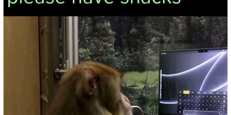 Monkey Appears To Telepathically Type Using Elon Musks Neuralink
