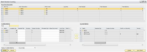 Update Batch Number User Fields In Inventory Count Sap Community