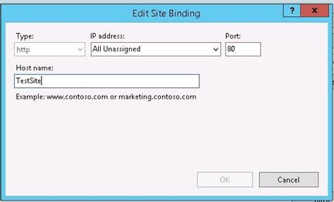 Domain Name System Hosting Multiple Websites On Iis With Ssl Server