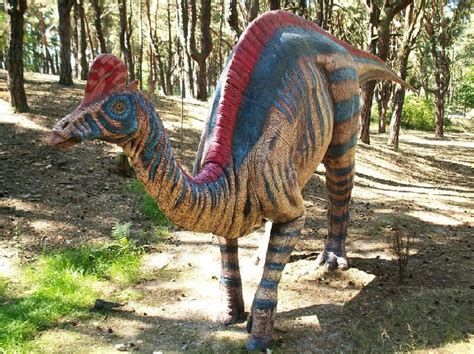 Hypacrosaurus Pictures And Facts The Dinosaur Database