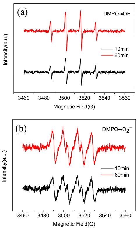 Reduced Graphene Oxide Coated Cufeo2 With Fenton Like Catalytic