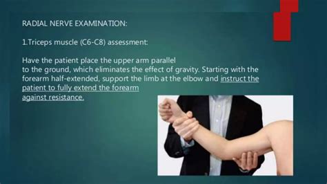 Upper Limb Nerve Examination Pptx