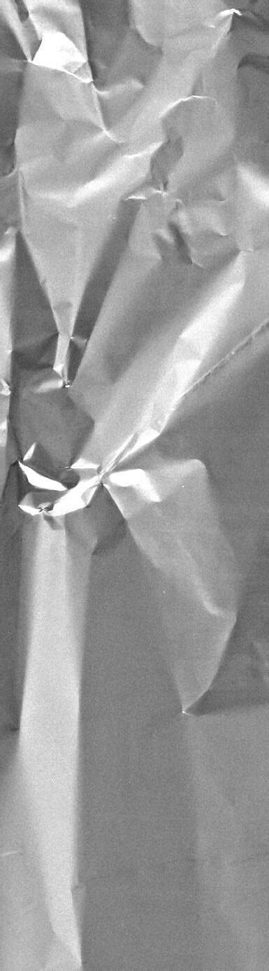 lunchbox the trailblazer issue vol 2 issue 1 fall 2022 by