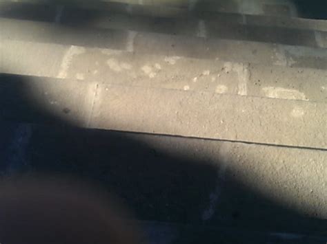 აქცია თსუ ში Live Youtube