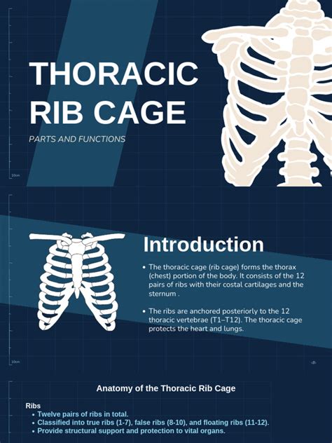 Thoracic Pdf