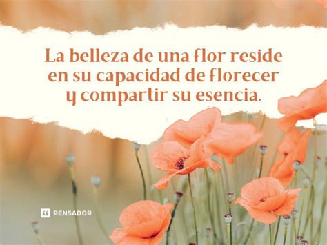 Poemas Y Citas De Flores Buenos Días Poemas Y Frases Inspiradoras