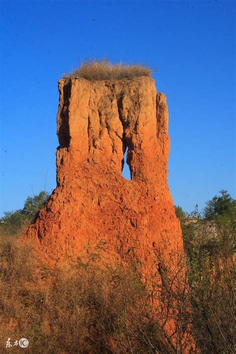 平陰奇特的土林 每日頭條
