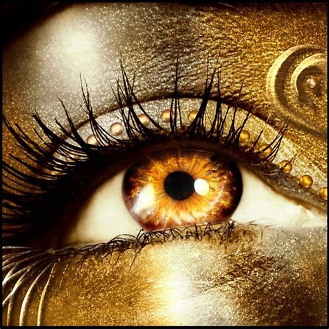 Beautifully Bronze Photos Of Eyes Crazy Eyes Gold Eyes
