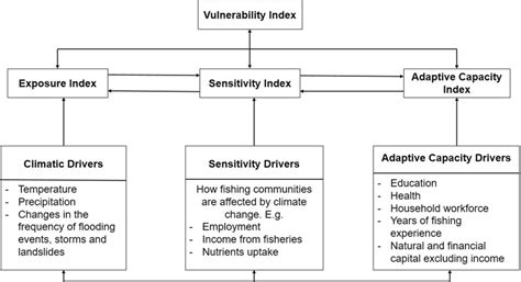 Schematic Representation Of The Vulnerability Conceptual Download Scientific Diagram
