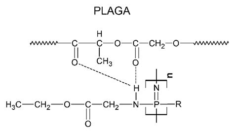 Molecules Free Full Text Cyclo And Polyphosphazenes For Biomedical Applications