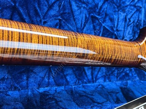 2011 Prs Tree Of Life Custom 24 Artist Grade Id 3066 Captain