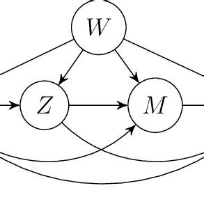 Variables Such As Z Which Are Affected By A And Are A Common Cause Of Download Scientific