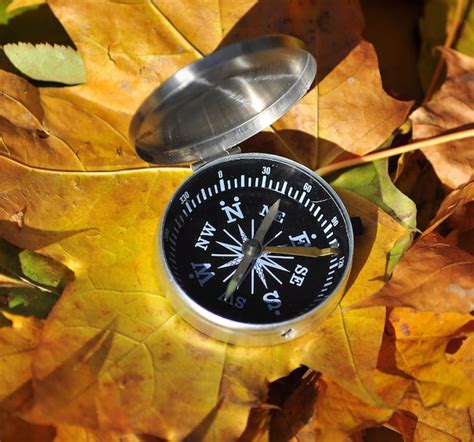 Premium Photo Compass Among The Autumn Leaves