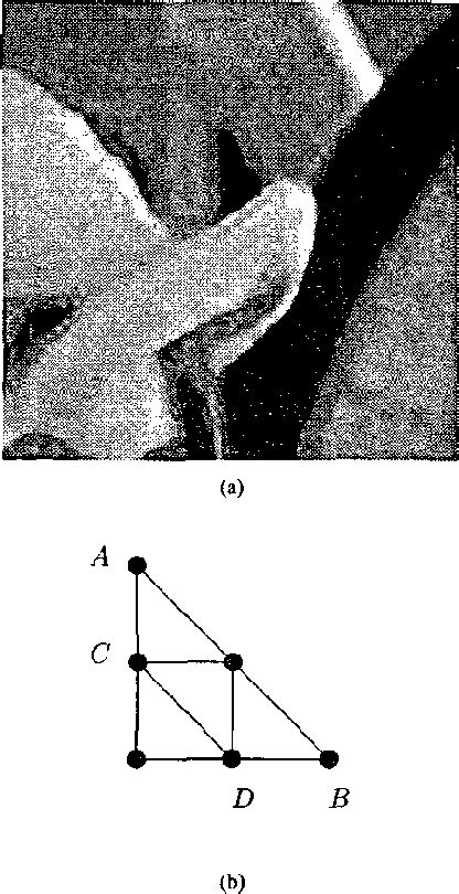 Figure 2 From A New Interpretation Of Translation Invariant Image Denoising Semantic Scholar