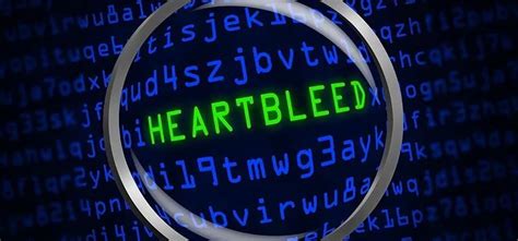 hack like a pro how to scan the internet for heartbleed