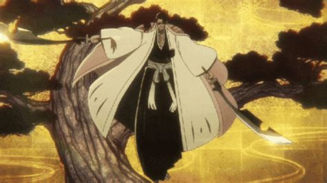 Shunsui Kyoraku Tybw  Find And Share On Giphy
