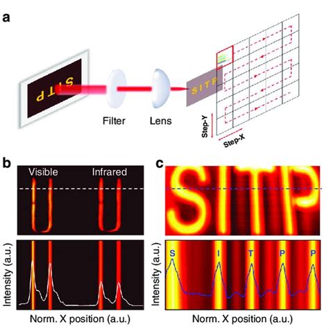 A Schematic Device Structure Of The Photodetectors B Absorption Download Scientific Diagram