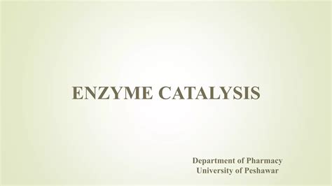 Basics Of Enzyme Catalysis Ppt