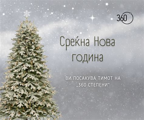 СРЕЌНА НОВА ГОДИНА 360 степени