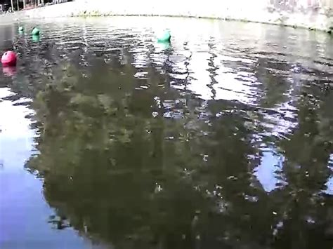 Final Object Detection Dataset By Ikhsan