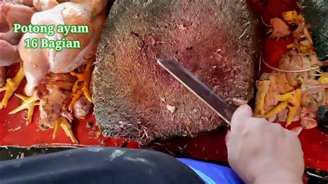 Potong Ayam 16 Bagian Youtube
