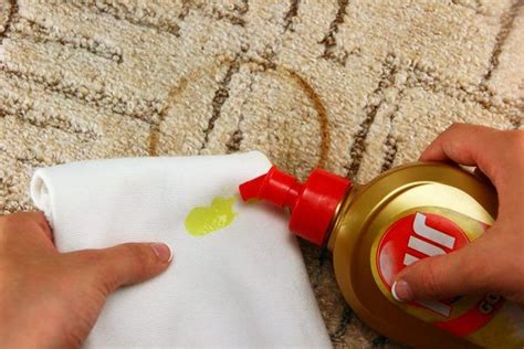 How To Remove Rust From Carpet Homesteady Carpet Cleaning Hacks Carpet Cleaning Pet Stains