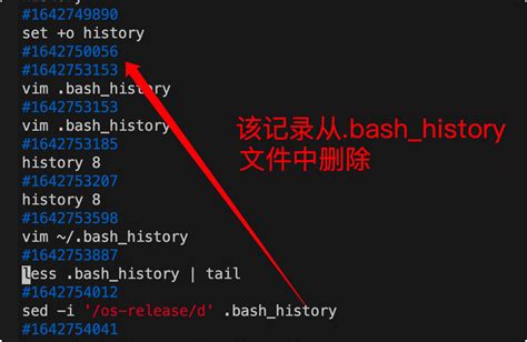 History隐藏历史命令记录的小技巧 Zgaos Blog History隐藏历史命令记录的小技巧 Zgaos Blog