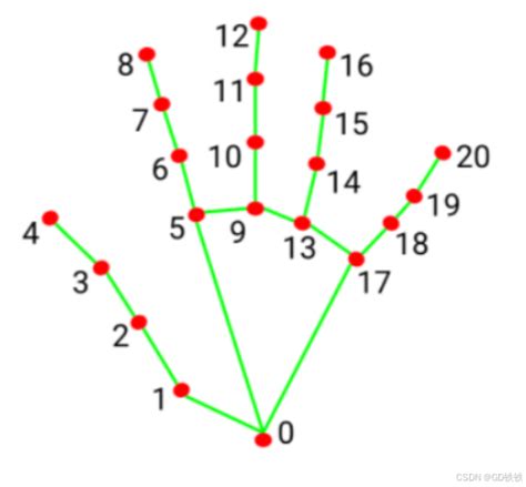 提取坐标信息并利⽤ Opencv 函数进⾏关键点绘制xedu预训练读取关键点坐标 Csdn博客
