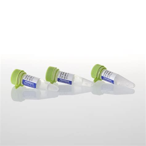 Terminal Transferase Buffer Pack Nerliens Meszansky As