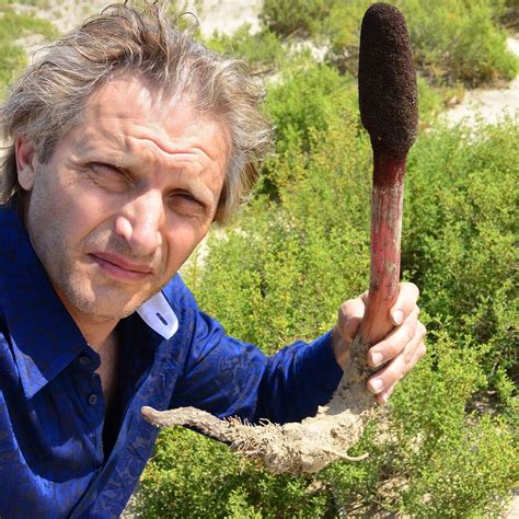 Store — Joseph Simcox