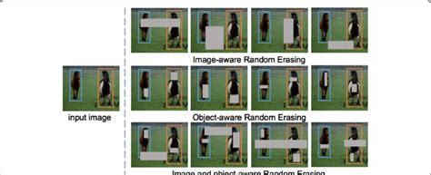 Example Of Random Erasing On Object Detection Tasks 70 Download