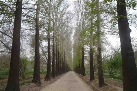 پارک خانواده کرج کجاست؟ معرفی راه‌های دسترسی مجله مِستر بلیط