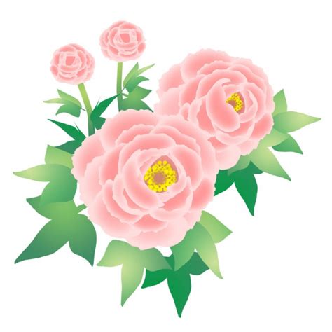 牡丹 無料イラスト素材素材ラボ