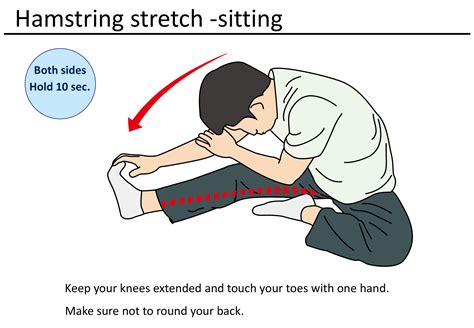 Pelvic Rotation Movement Physio Visuals Illustrated Exercise Stretching And Rehabilitation
