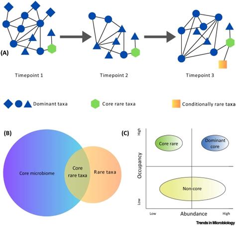 Rare Taxa In The Core Microbiome Trends In Microbiology