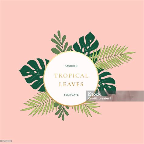 몬스 테라 팜 트로피컬 나뭇잎 패션 기호 상징 카드 템플릿 추상 녹색 단풍 라운드 배너 황금 그라데이션 테두리 및 고급스러운 타이포그래피 핑크 파스텔 색상 격리 0명에 대한