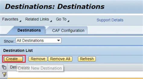 Complete Proxy Configuration Guide For Sap Pipo And Ecc Sap